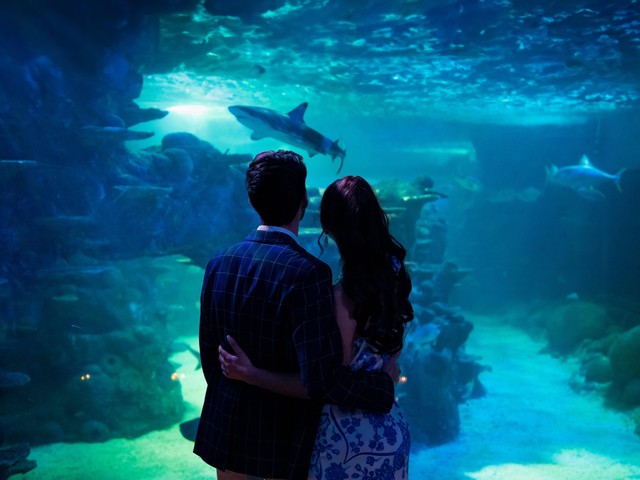 Alexandra & Luke | Joy